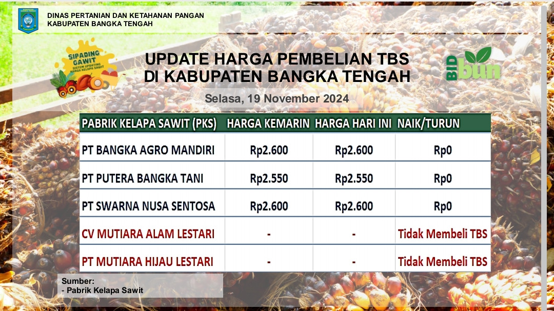 Update Harga Tandan Buah Segar (TBS) 19 November 2024 - AdeBerita.com