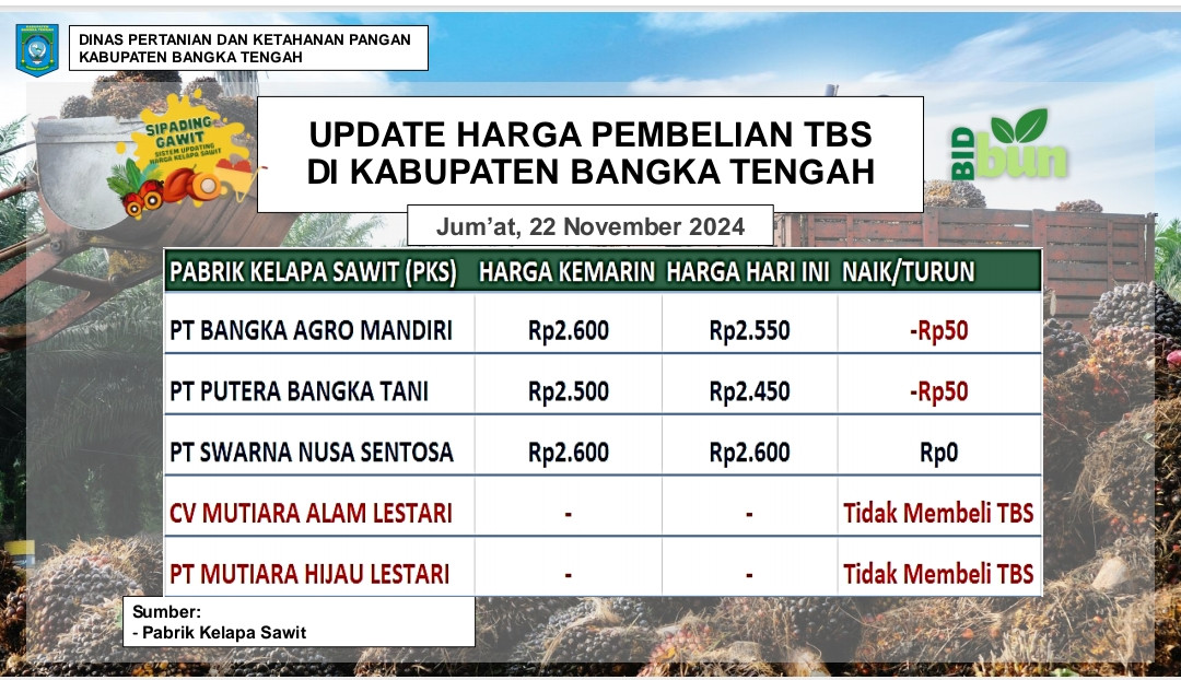 Update Harga Tandan Buah Segar (TBS) 22 November 2024 - AdeBerita.com