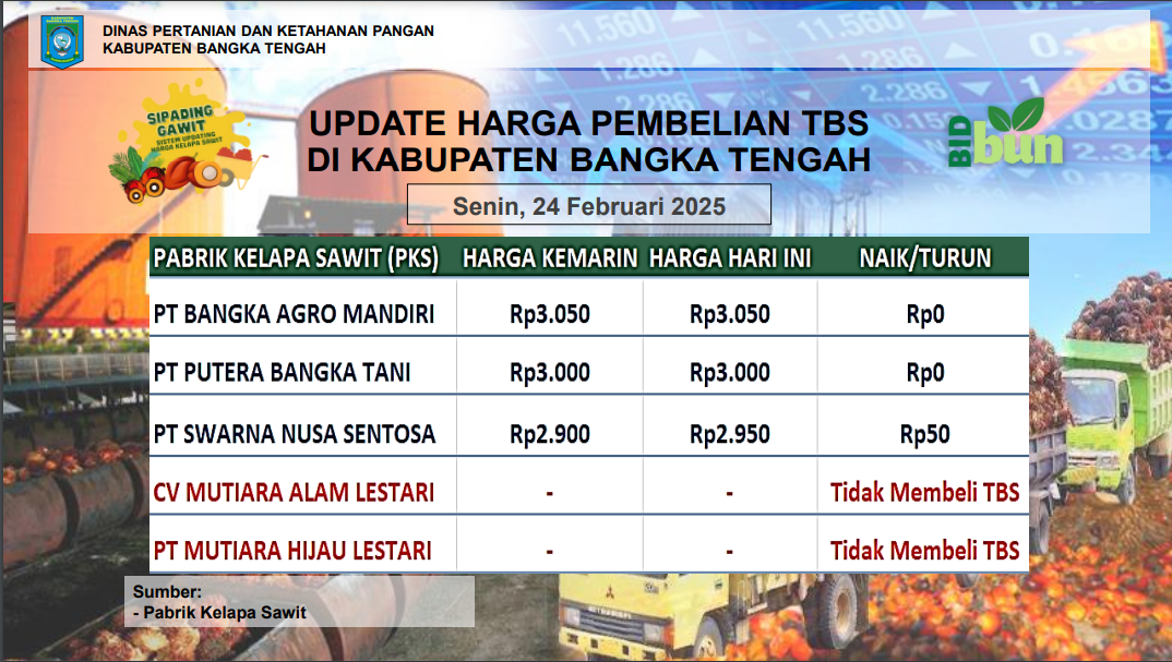 Update Harga Tandan Buah Segar (TBS) 24 Februari 2025 - AdeBerita.com