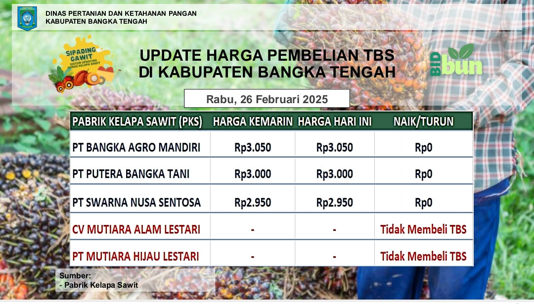 Update Harga Tandan Buah Segar (TBS) 26 Februari 2025 - AdeBerita.com