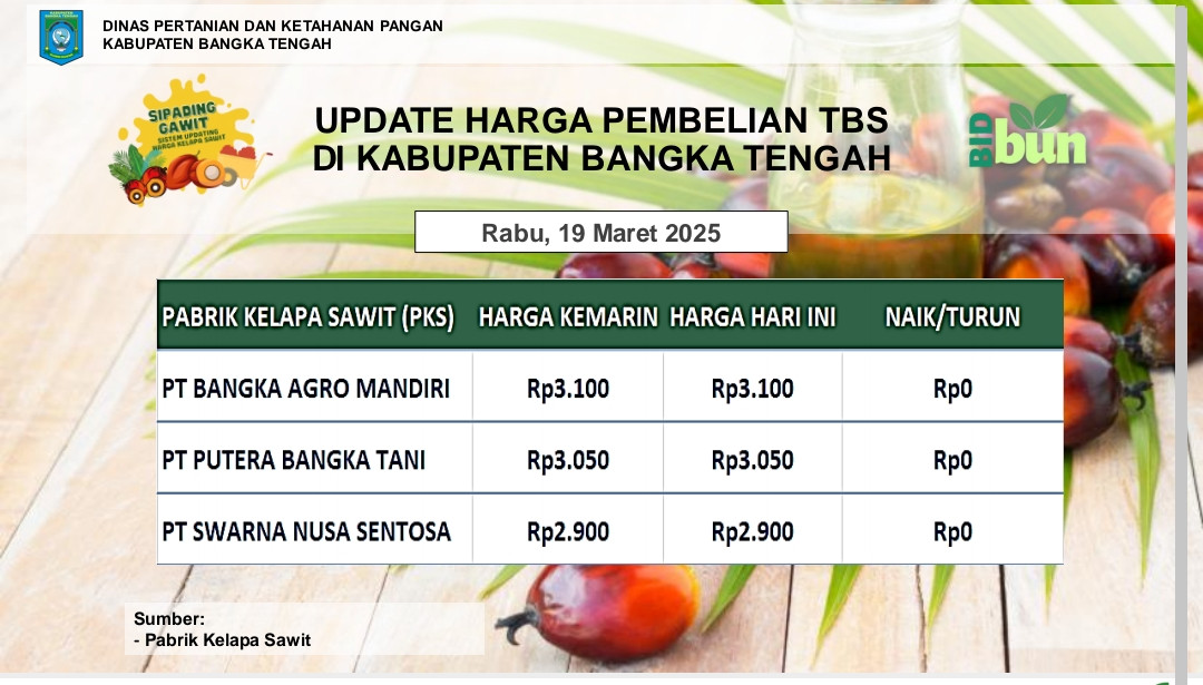 Update Harga Tandan Buah Segar (TBS) 19 Maret 2025 - AdeBerita.com