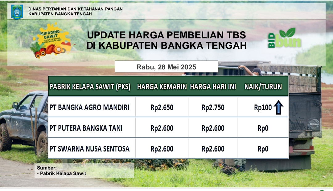 Update Harga Tandan Buah Segar (TBS) 28 Mei 2025 - AdeBerita.com